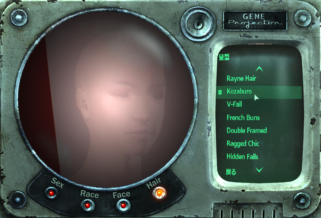 『Fallout3』MOD導入 その2: ねるらぼ